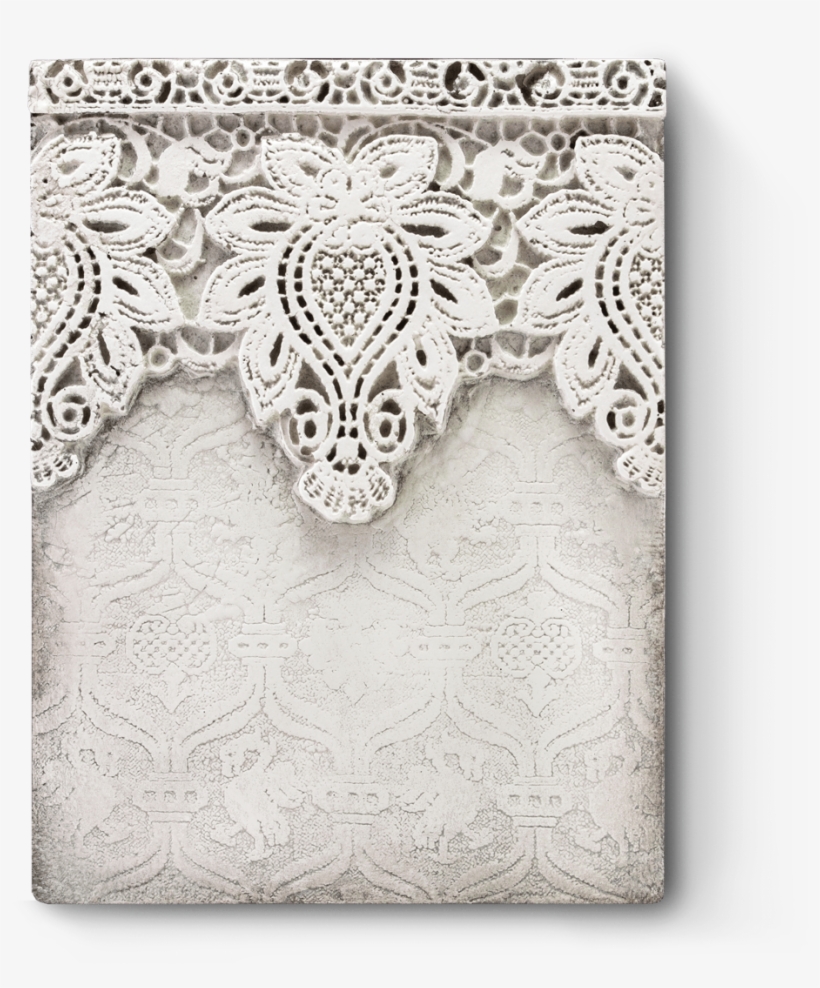 Tree Of Life - Evolution PNG Image | Transparent PNG Free Download on ...