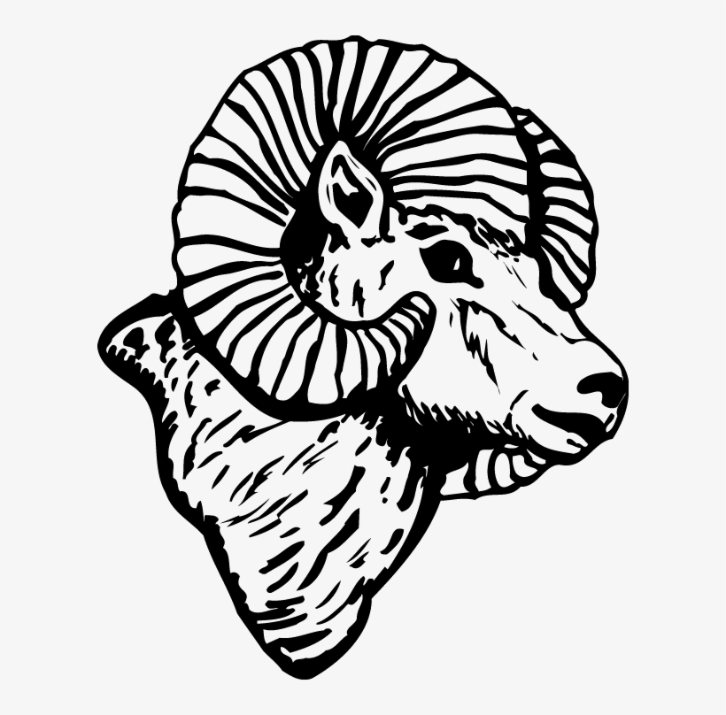 Side View Ram Drawing PNG Image | Transparent PNG Free Download on SeekPNG