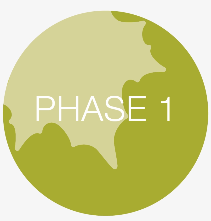 Phase 1 Icon-01 - Phase 1 Icon Png PNG Image | Transparent PNG Free ...