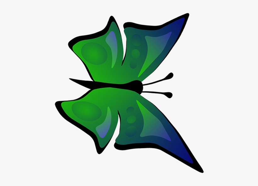 Flying Butterfly Clipart - Drawing PNG Image | Transparent PNG Free ...