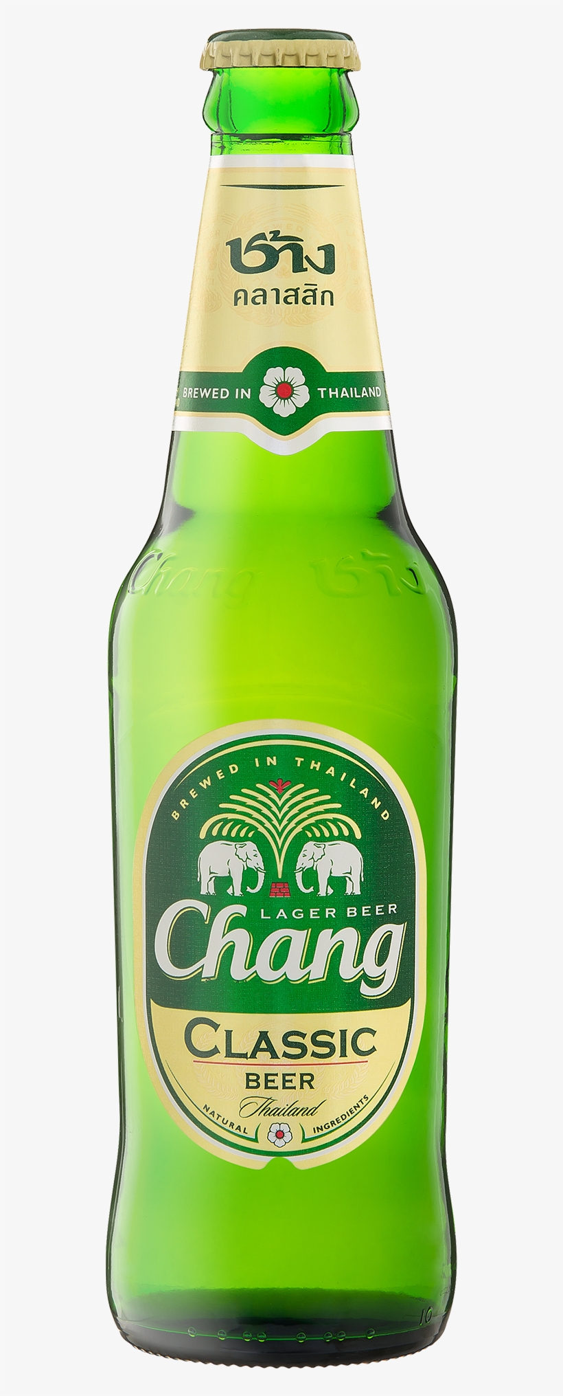 Chang Beer 320ml - Chang Lager Lager / Pilsner Beer PNG Image ...