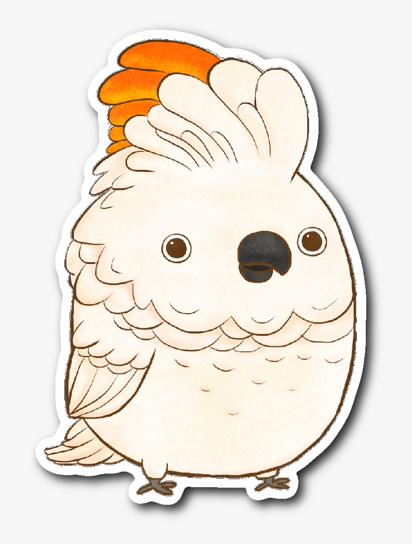 Moluccan Cockatoo Sticker - Cockatoo Sticker PNG Image | Transparent ...