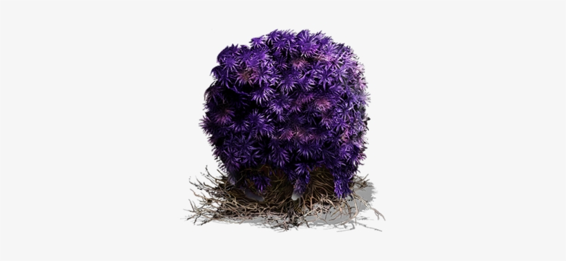 Download Purple Moss Clump - Illustration | Transparent PNG Download | SeekPNG