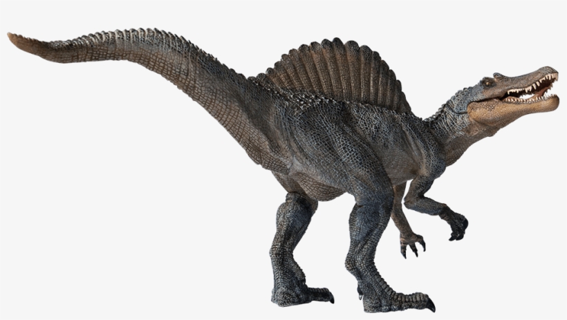 Spinosaurus Png Transparent Image - Spinosaurus Png PNG Image ...