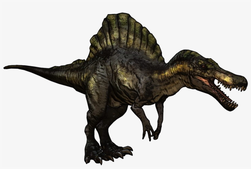 Download Spino - Dinosaurs Spinosaurus | Transparent PNG Download | SeekPNG