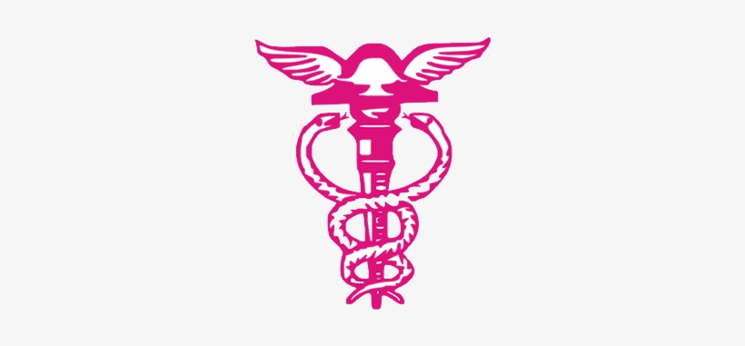 Chrome Skull Png - Simbolo Ciencias Contabeis Png PNG Image ...