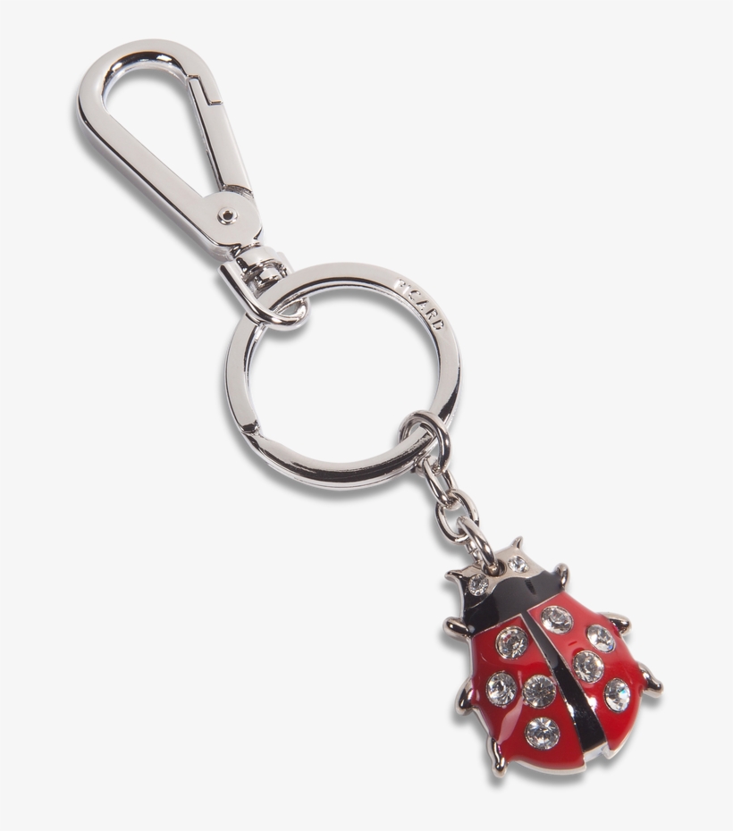 Key Holder Png Pic - Keychain PNG Image | Transparent PNG Free Download ...