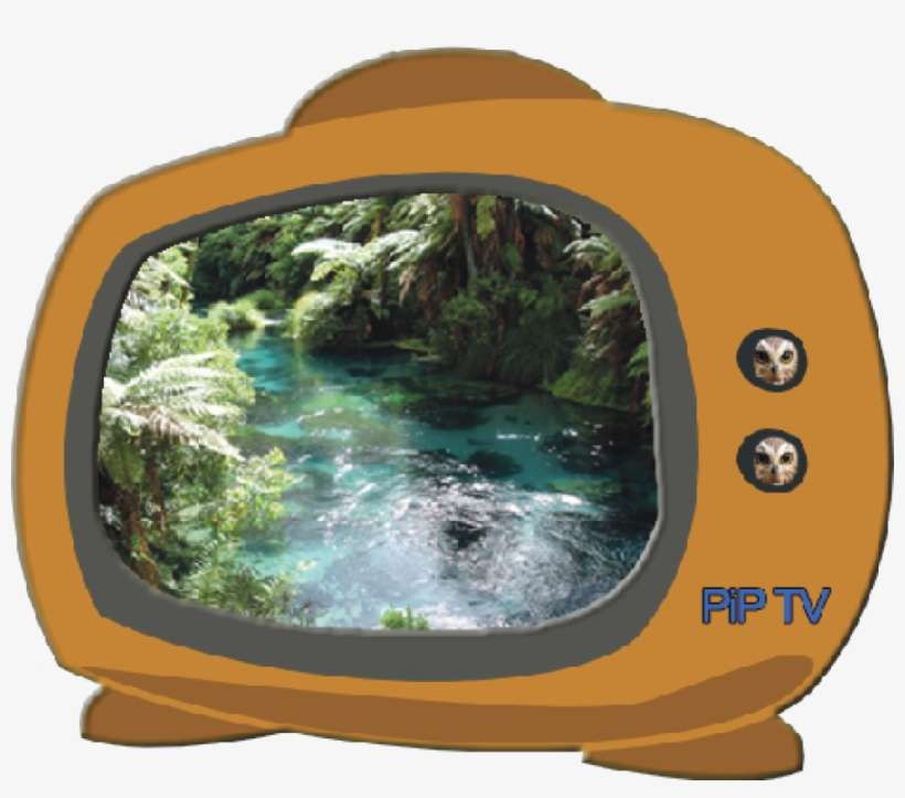 Pip Tv Channel - Putaruru Primary School Intermediate Mish Mash PNG ...