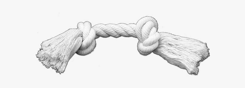 Cotton Rope Dog Toy ¾ Inch 2 Knot - Dog Toy Rope Drawing PNG Image ...