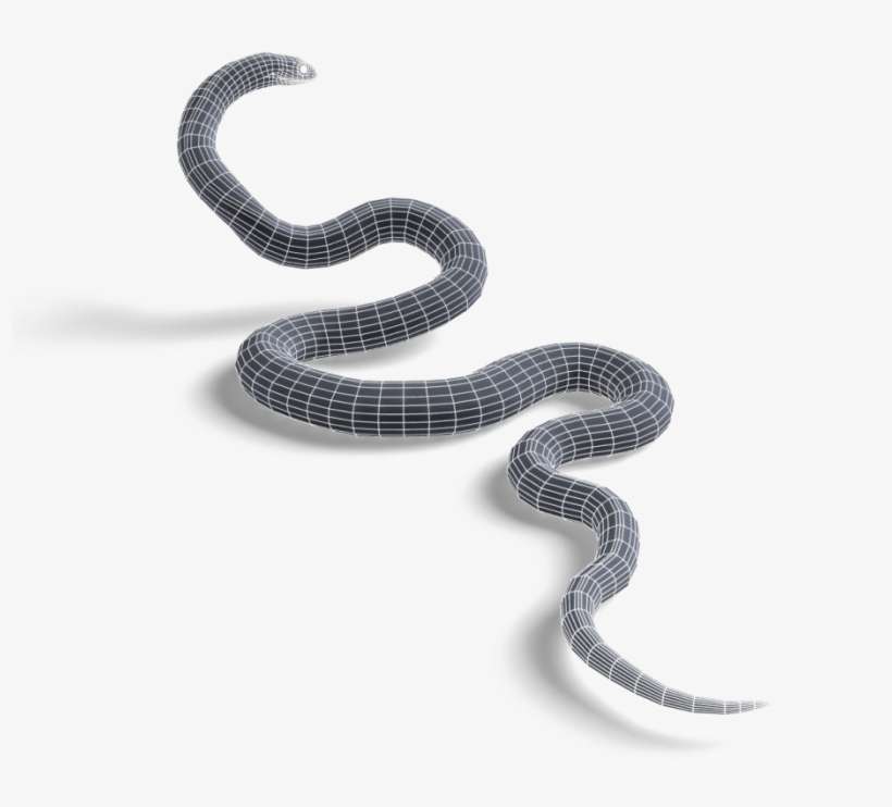 Download Black Mamba Snake Transparent Image - Black Mamba ...