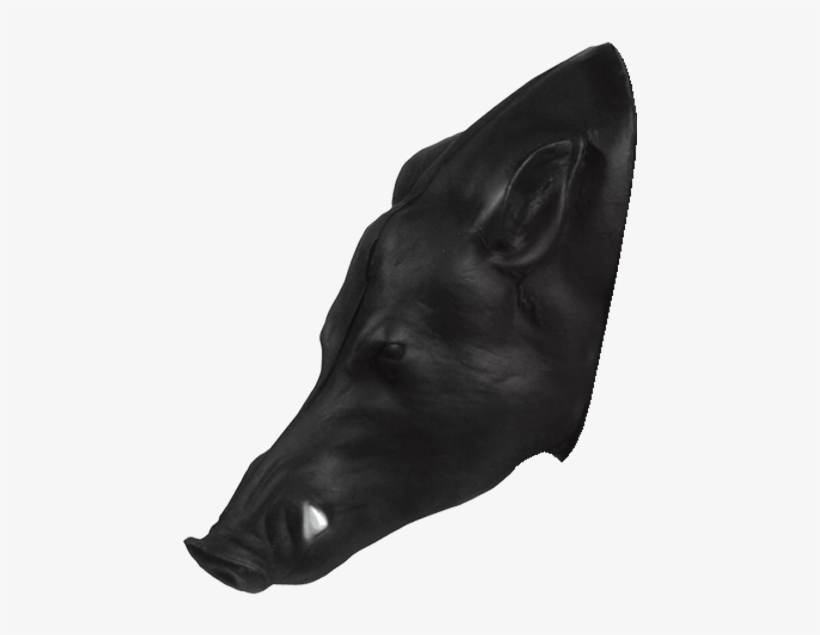 Pro 3d Wild Boar Head - Boar PNG Image | Transparent PNG Free Download ...