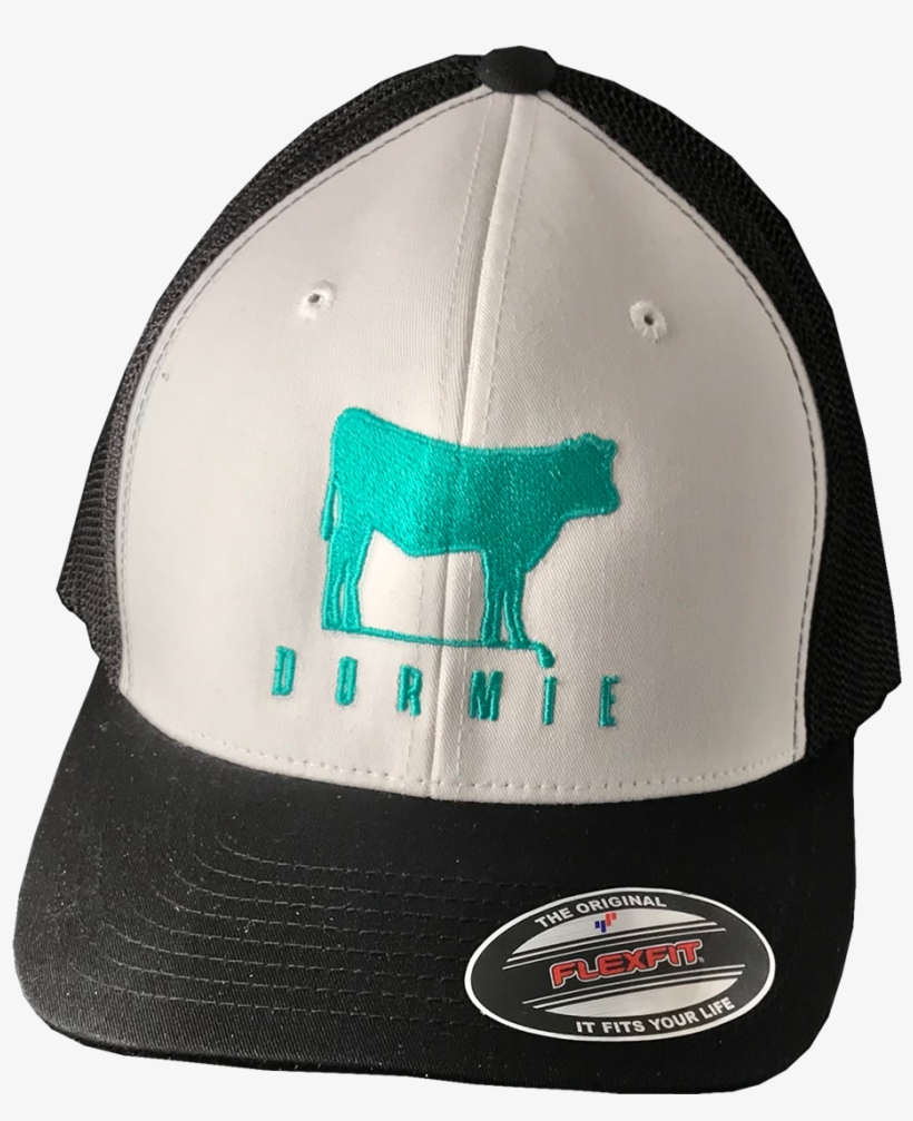 Ocean Spray Snapper - Baseball Cap PNG Image | Transparent PNG Free ...