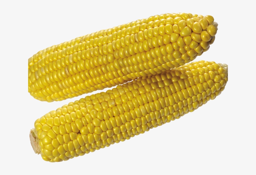 Download Corn Clipart Cooked Corn - Corn Transparent Background ...