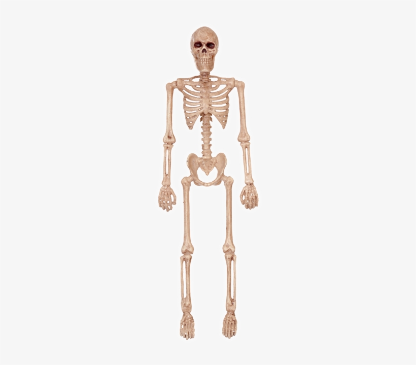 Spooky Skeleton Transparent
