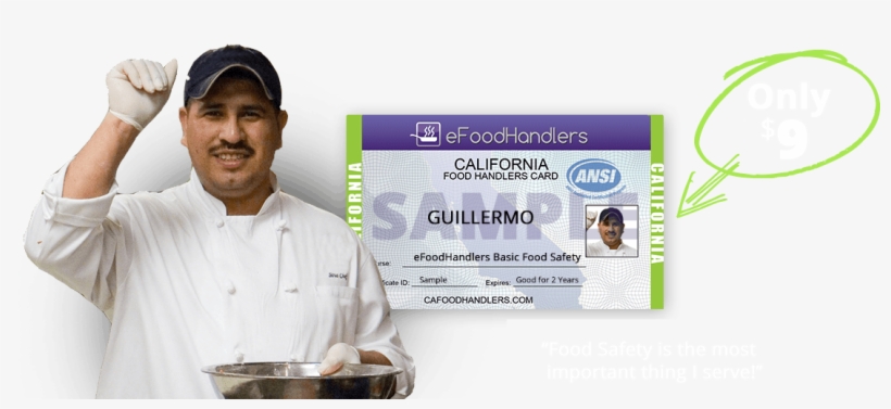 Download Customizability - Food Handlers Card | Transparent PNG ...