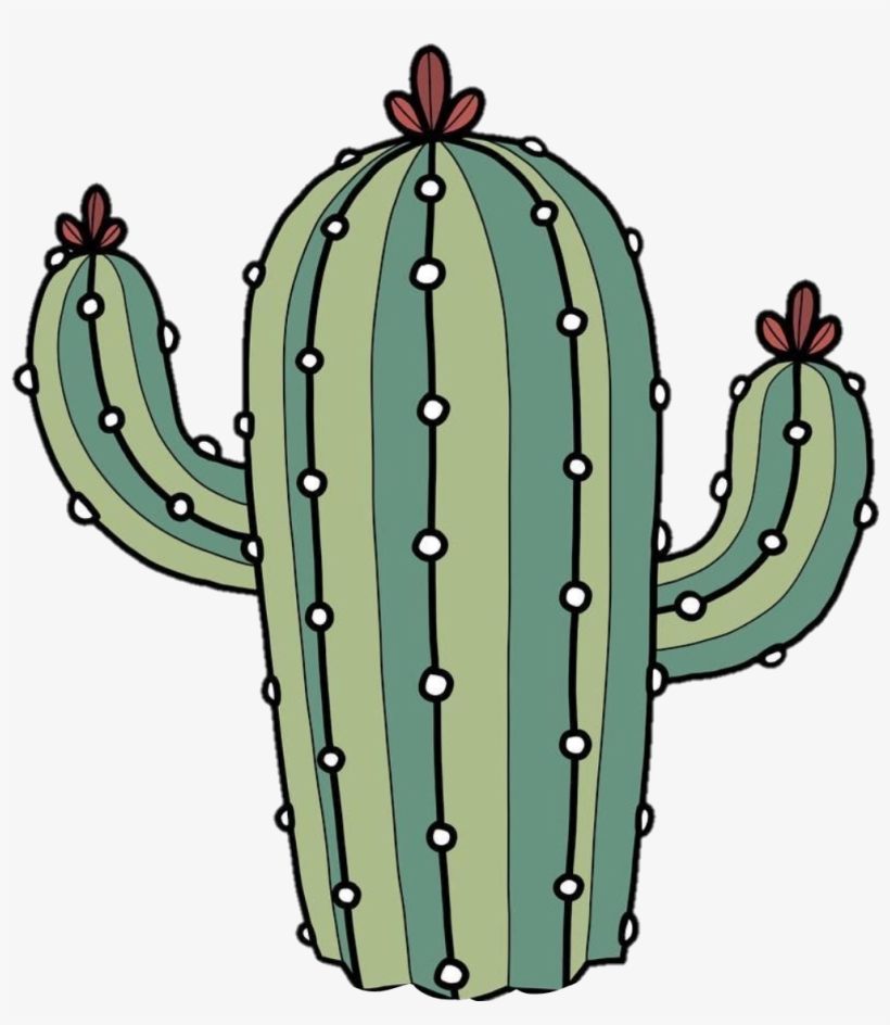 Download Cactus Tumblr Beautiful Plant Green Flower - Cactus Png ...