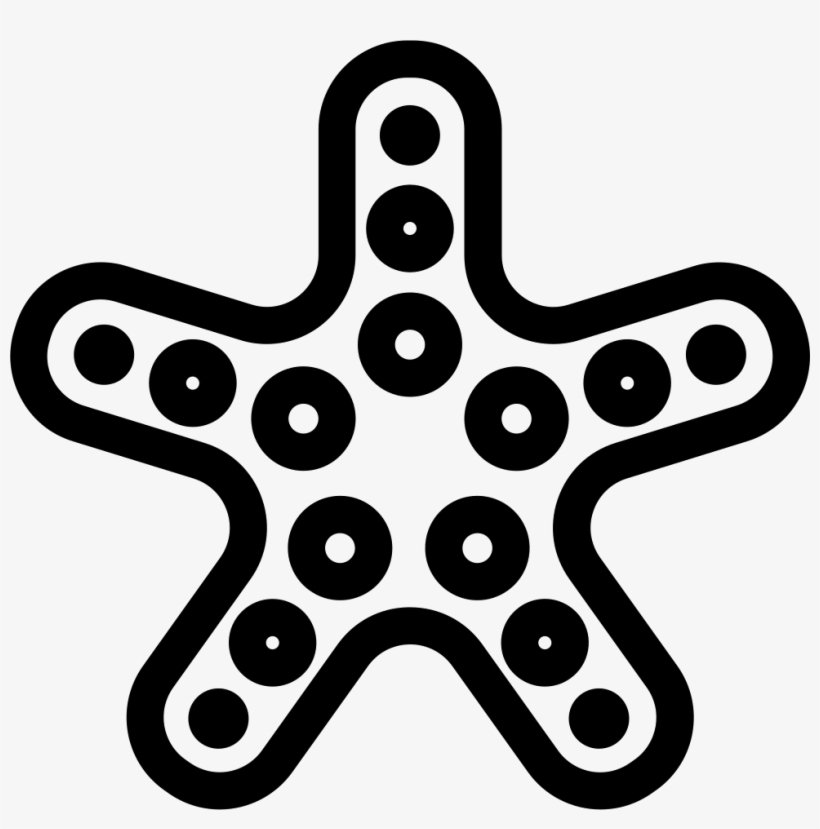 Png File - Starfish PNG Image | Transparent PNG Free Download on SeekPNG