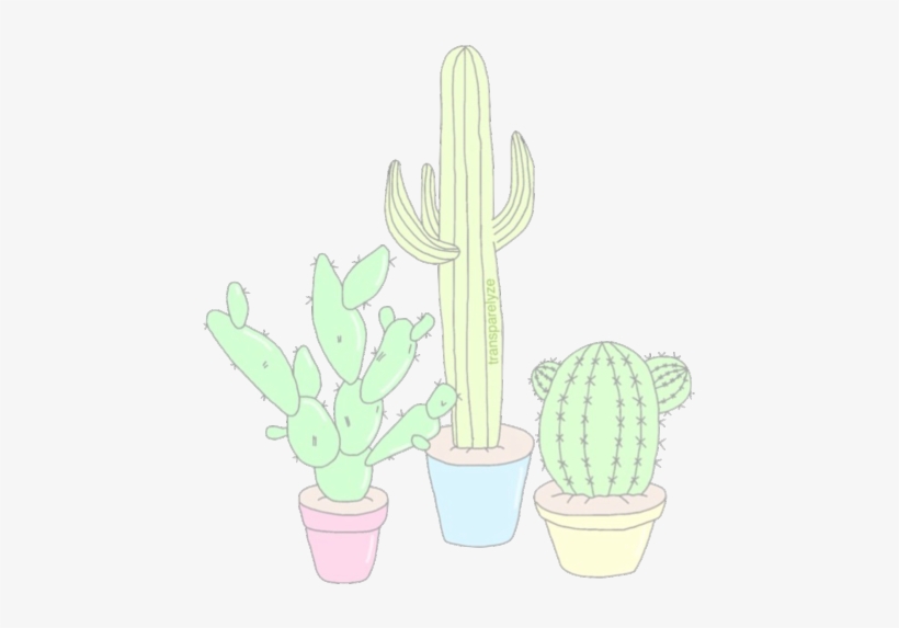 Cactus Overlay Tumblr - Cactus PNG Image | Transparent PNG Free ...