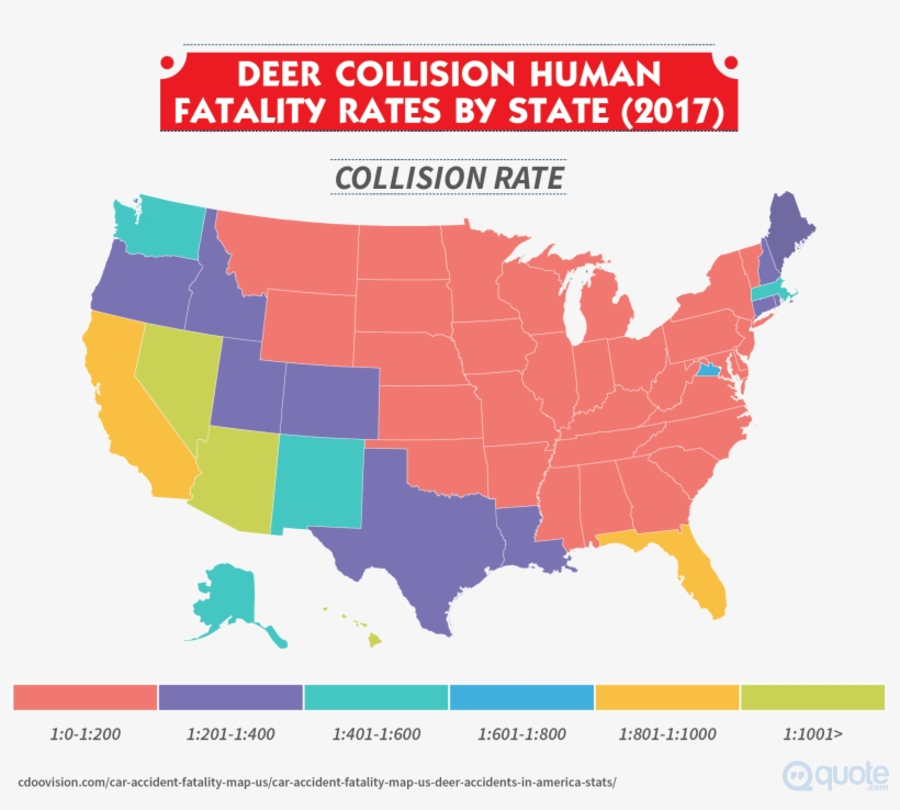 2017 Deer Collision Human Fatality Rates By State - Trump Clinton ...