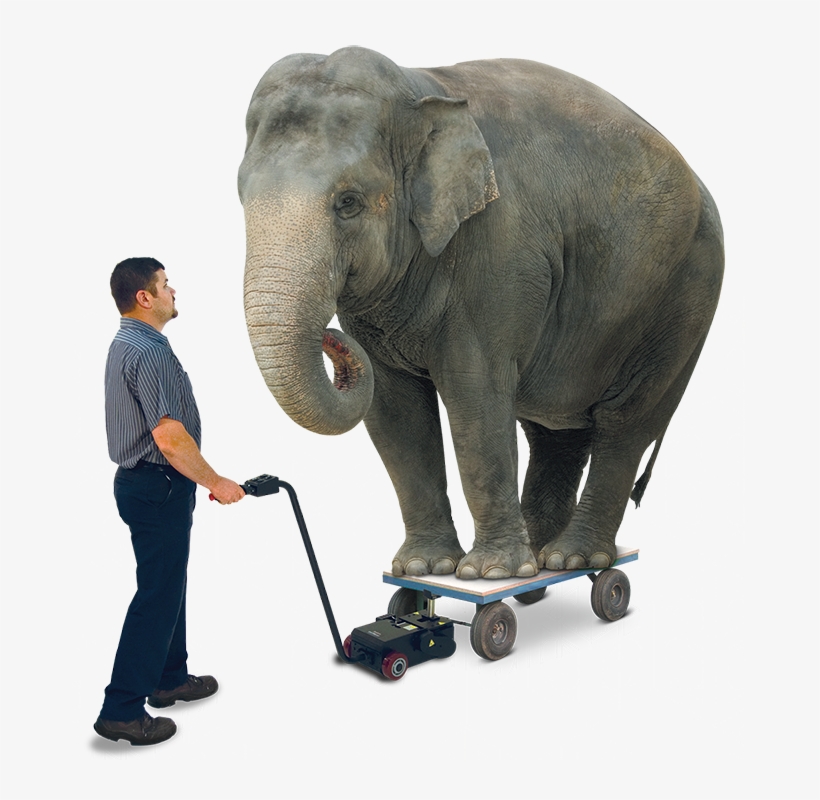 Cartmover-elephant - Cart Mover PNG Image | Transparent PNG Free ...