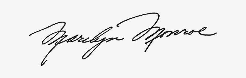 Fear Is Stupid - Trend Setters Mp17240151 Maril PNG Image | Transparent ...