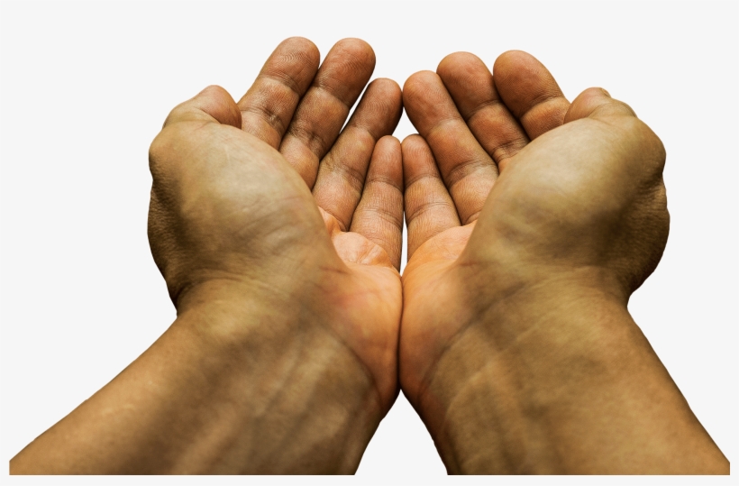 Handout PNG Image | Transparent PNG Free Download on SeekPNG