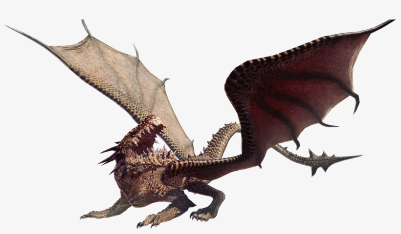 Download Monster Drake Exp - Dragon's Dogma Dragon Png | Transparent ...