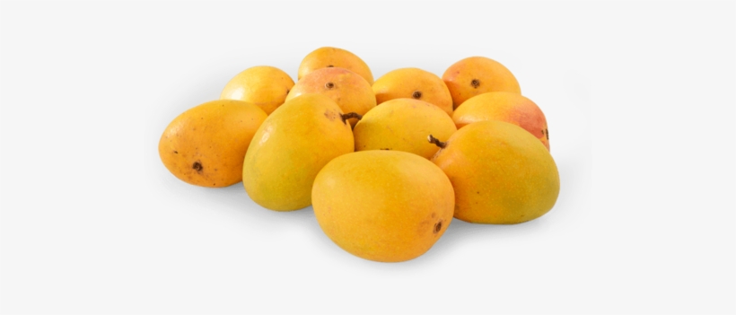 Alphonso - Alphonso Mango Mumbai PNG Image | Transparent PNG Free ...