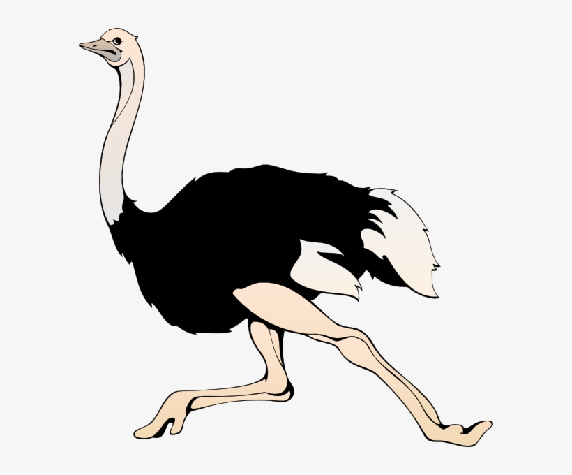 Running Ostrich Clip Art At Clker - Ostrich Clipart PNG Image ...