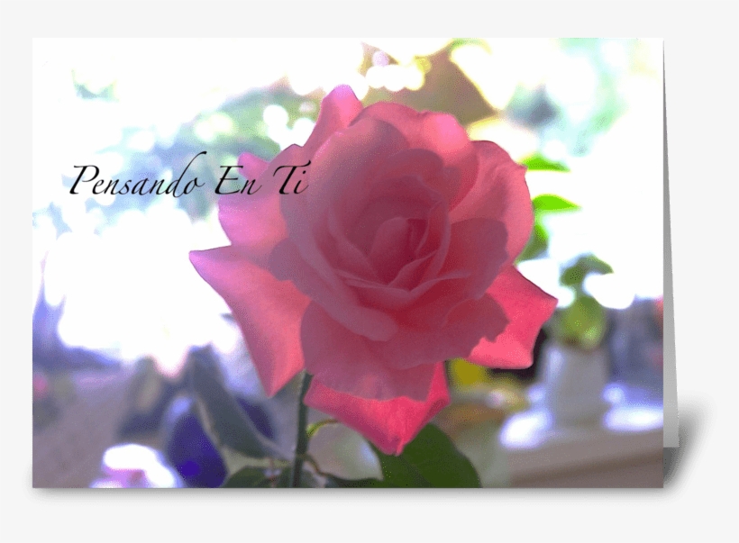 Pensando En Ti/thinking Of You Greeting Card - Greeting Card PNG Image ...