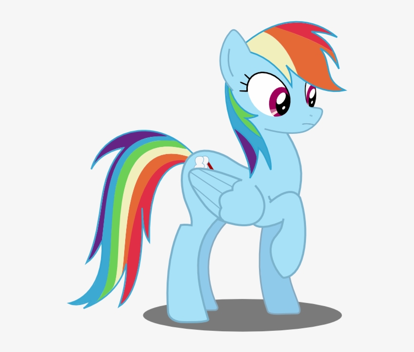 Woodstock, Rainbow Dash, Safe, Simple Background, Transparent - Rainbow ...