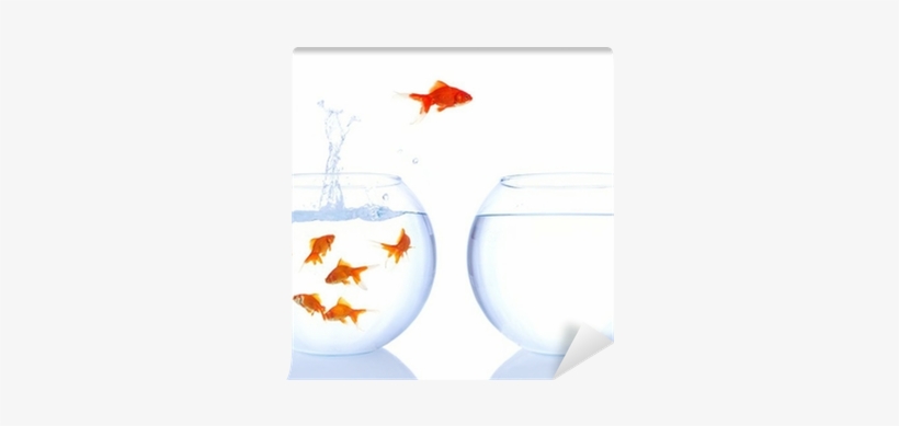 Goldfish Jumping Animated Gif PNG Image | Transparent PNG Free Download ...