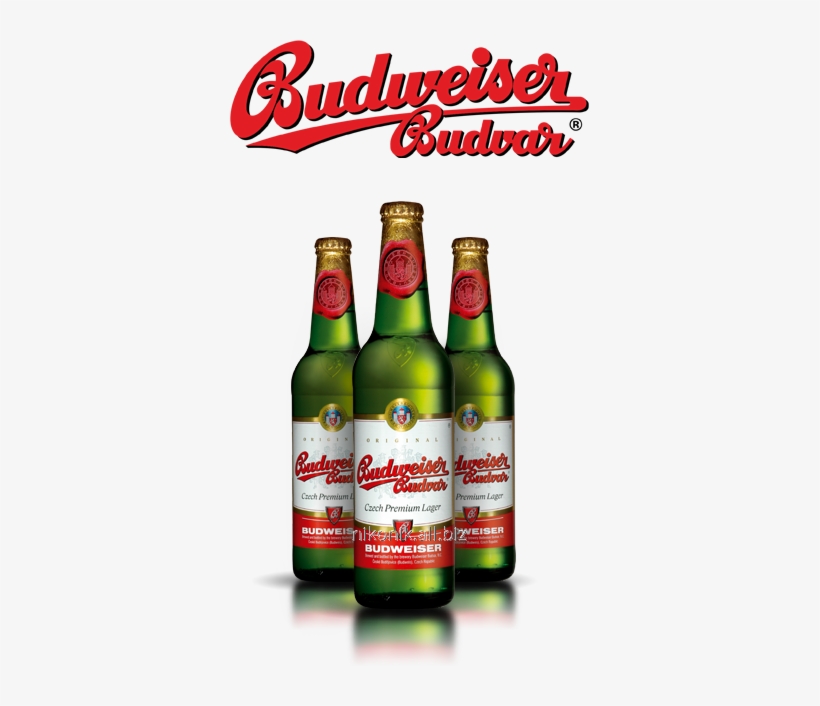 Buy Budweiser Beer - Budweiser Budvar PNG Image | Transparent PNG Free ...