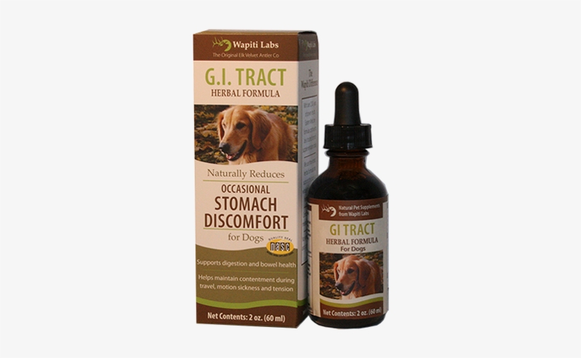 Gi Tract For Dogs - Wapiti Labs Inc Dog Gi Tract Formula PNG Image ...