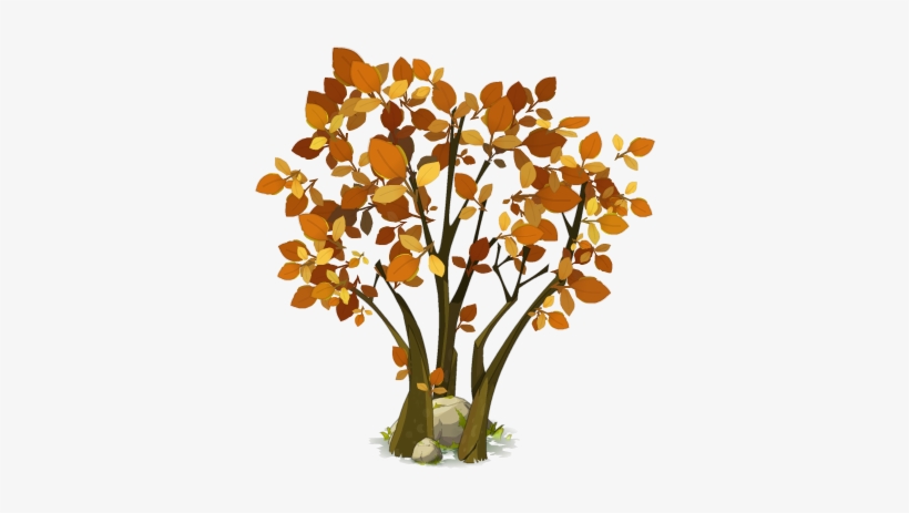 Hazel - Hazelnut Tree Clipart PNG Image | Transparent PNG Free Download ...