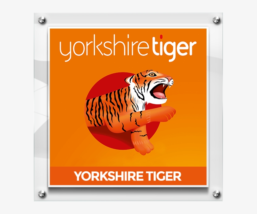 Yorkshire Tiger Logo Looking From A Window Above | Yorkshire Tiger