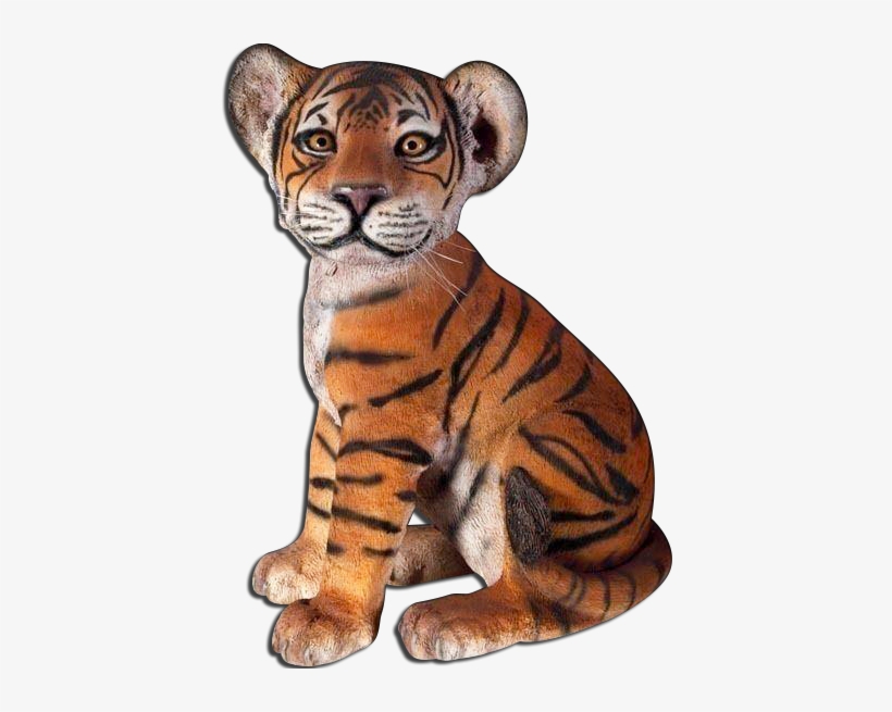 Sitting Tiger Cub - Tiger PNG Image | Transparent PNG Free Download on ...