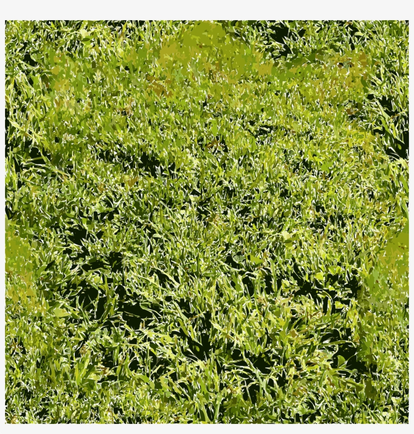 Medium Image - Lawn PNG Image | Transparent PNG Free Download on SeekPNG