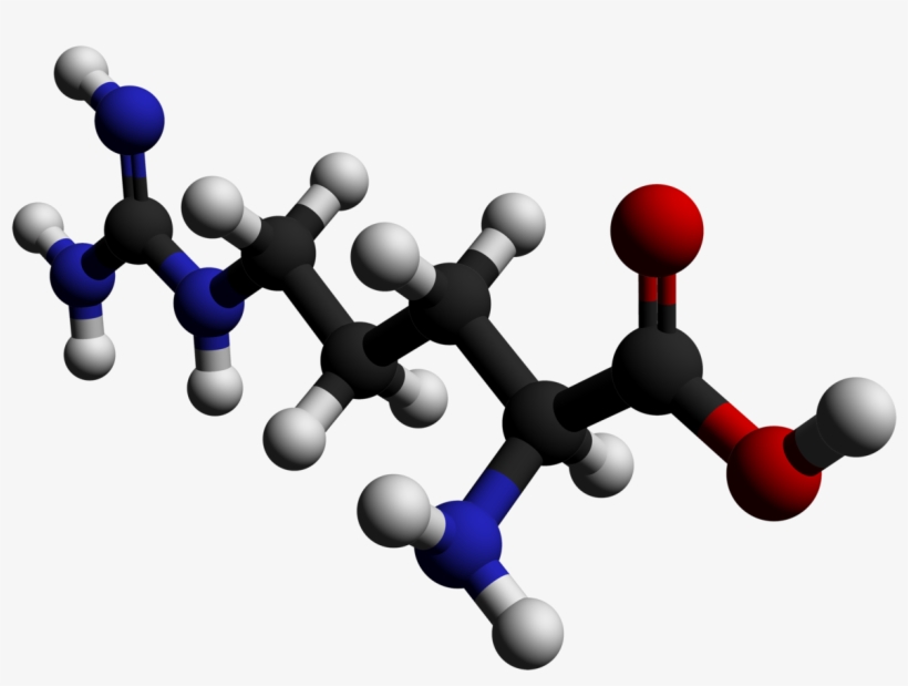 Arginine Molecule PNG Image | Transparent PNG Free Download on SeekPNG