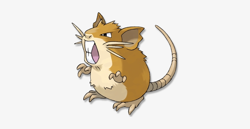 Download Raticate - Rattata Pokemon | Transparent PNG Download | SeekPNG