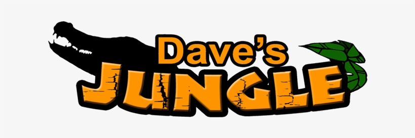 Logo For Web - Dave's Jungle Exotic PNG Image | Transparent PNG Free ...