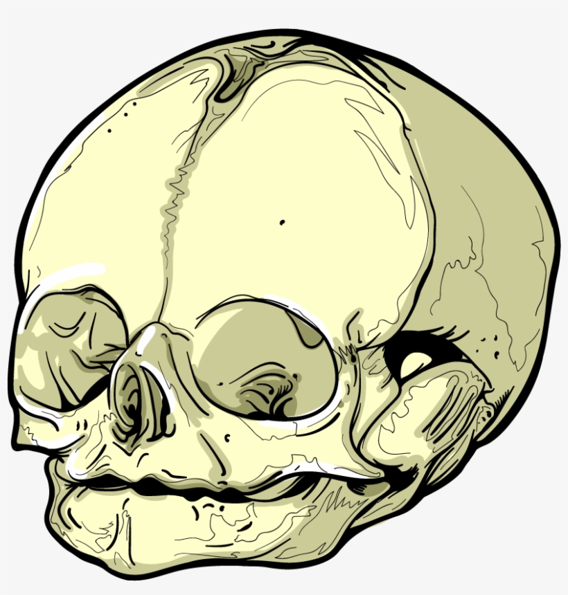 Skull Art Sticker Pack Messages Sticker-4 - Skull PNG Image ...