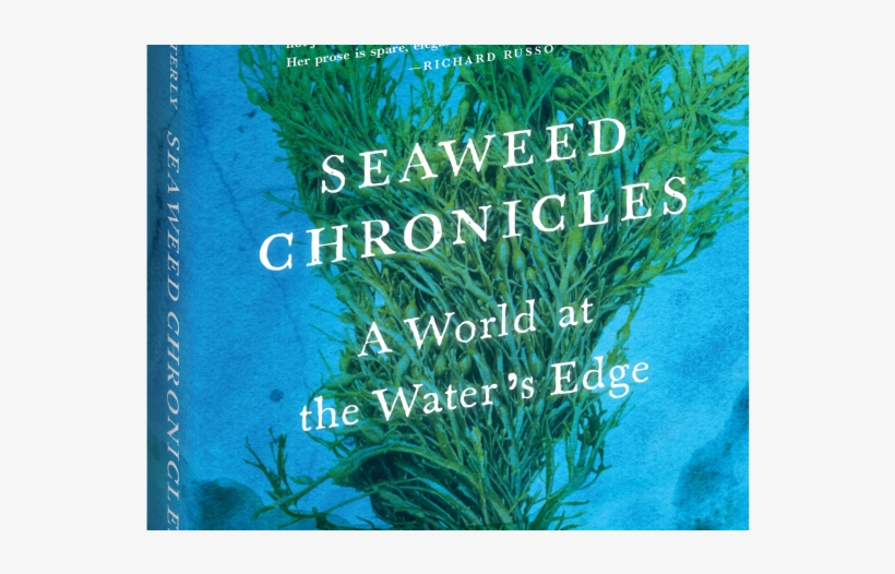 Seaweed Chronicles A World At The Water's Edge PNG Image | Transparent PNG Free Download on SeekPNG