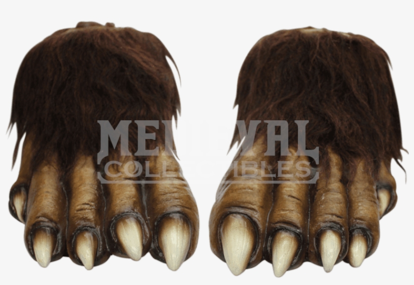 Werewolf Costume Feet - "werewolf Costume Feet" PNG Image | Transparent ...