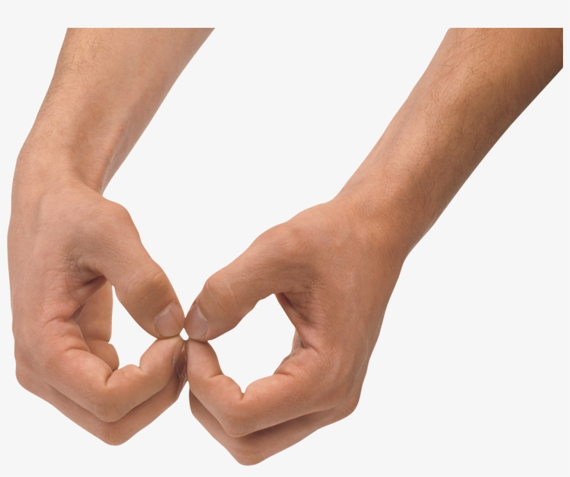 Download - Holding Hand Transparent Background PNG Image | Transparent ...