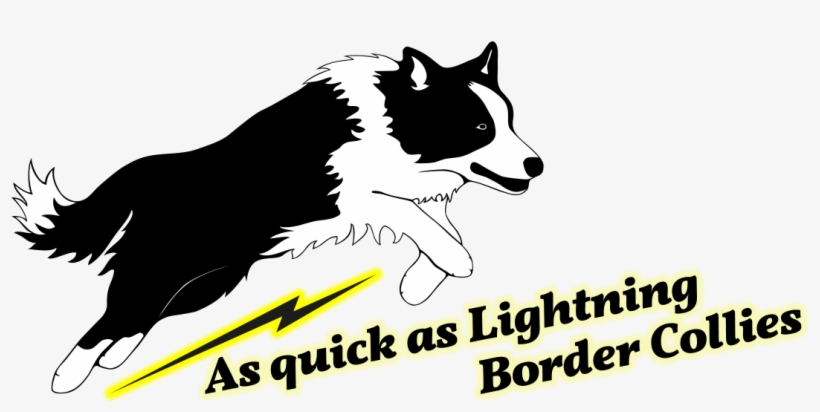 Mcnab PNG Image | Transparent PNG Free Download on SeekPNG