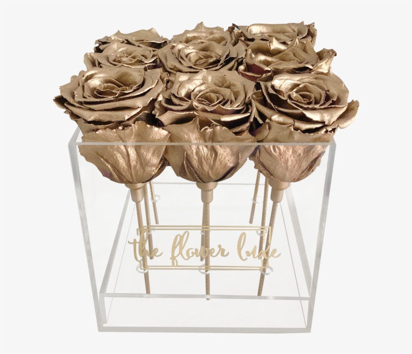 Glass Box - The Flower Luxe PNG Image | Transparent PNG Free Download ...