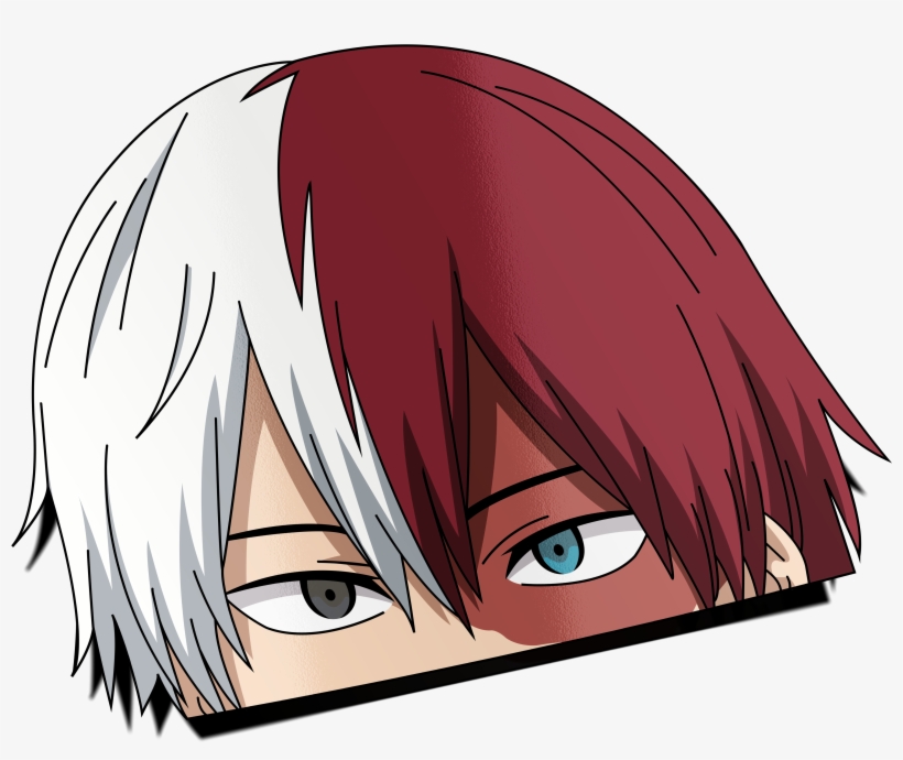 Download Todoroki - Cartoon | Transparent PNG Download | SeekPNG