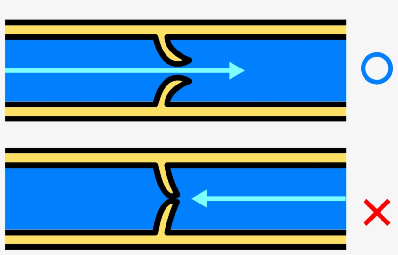 Venous Valve - Pocket Valves Venous Return PNG Image | Transparent PNG ...