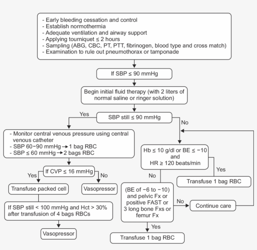 Algorithm For Blood Product Trans Fusions In Multiple - Partial ...